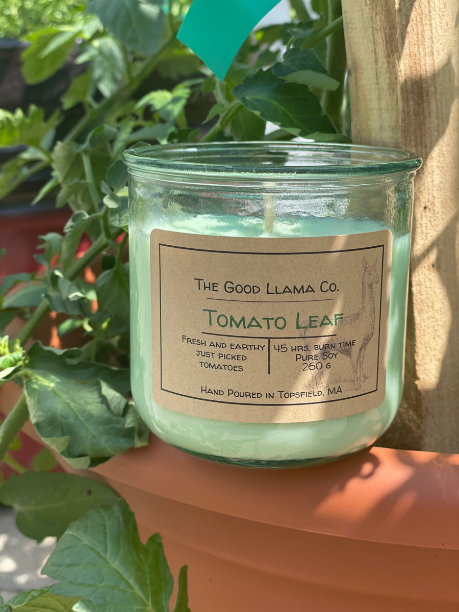 Seasonal – The Good Llama Co.