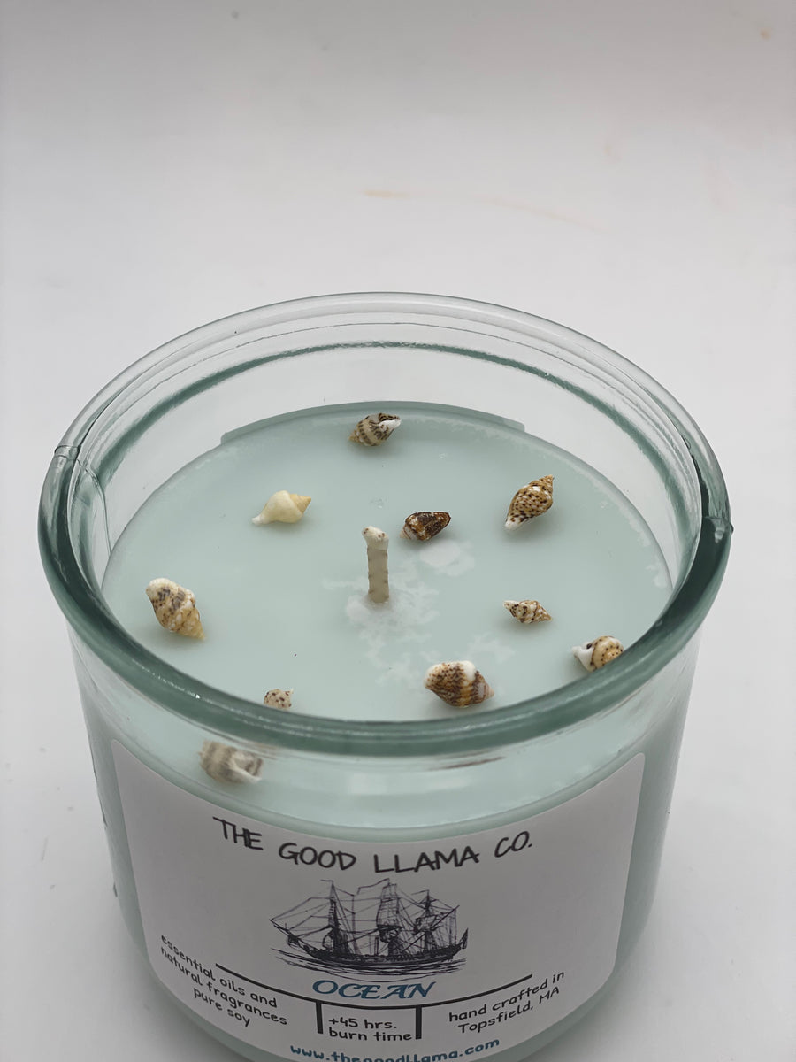 Ocean – The Good Llama Co.